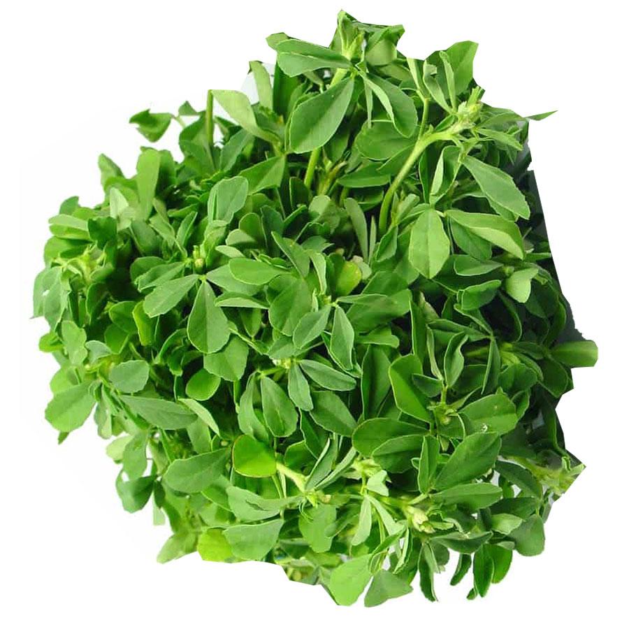 Methi / Fenugreek Bunch – Mullaco Online
